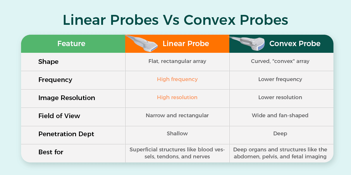 Linear Ultrasound Probes vs. Convex Ultrasound Probes-Media & Events